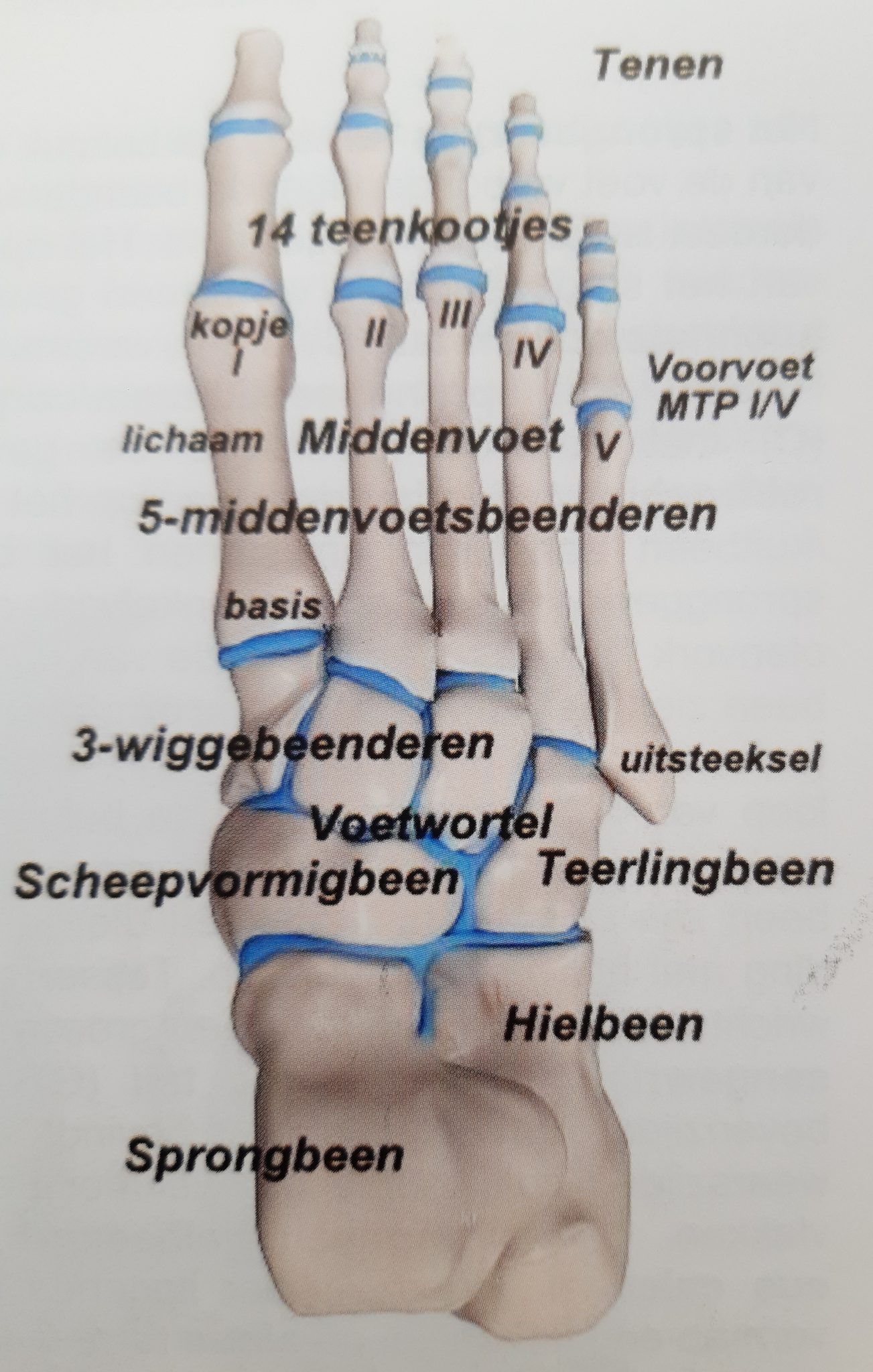 Wist je dat